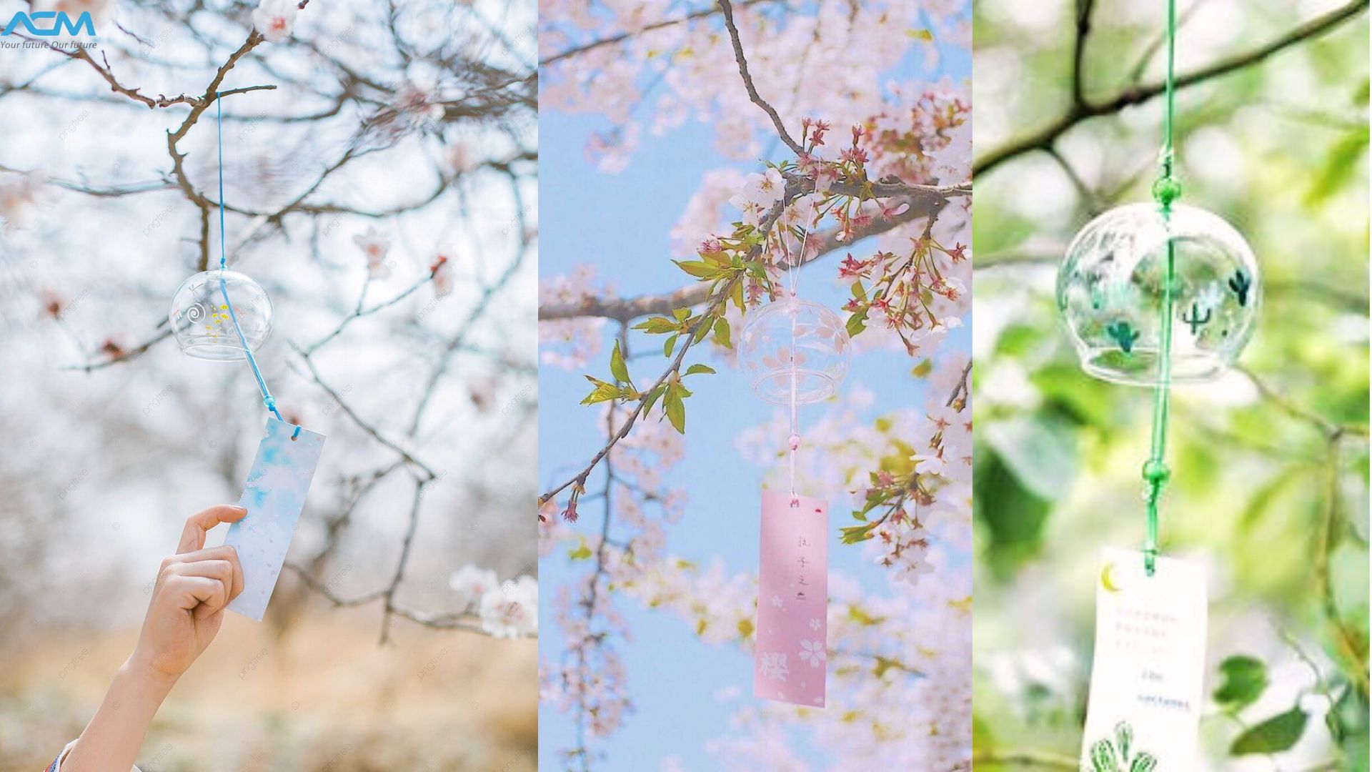 Furin - Thanh âm của mùa hè Nhật Bản